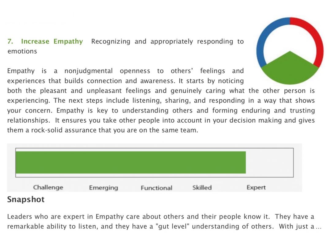 Emotional Intelligence for Leadership Report - SEI LR • Six Seconds