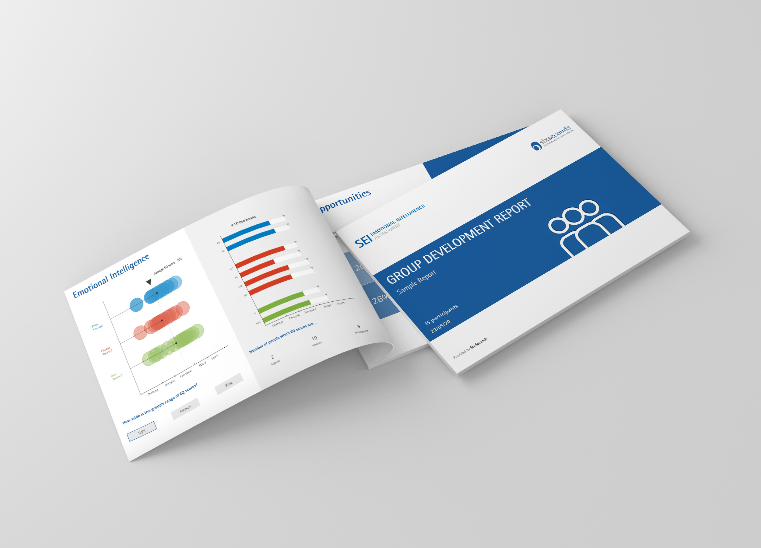 Group Emotional Intelligence Development Report • Six Seconds